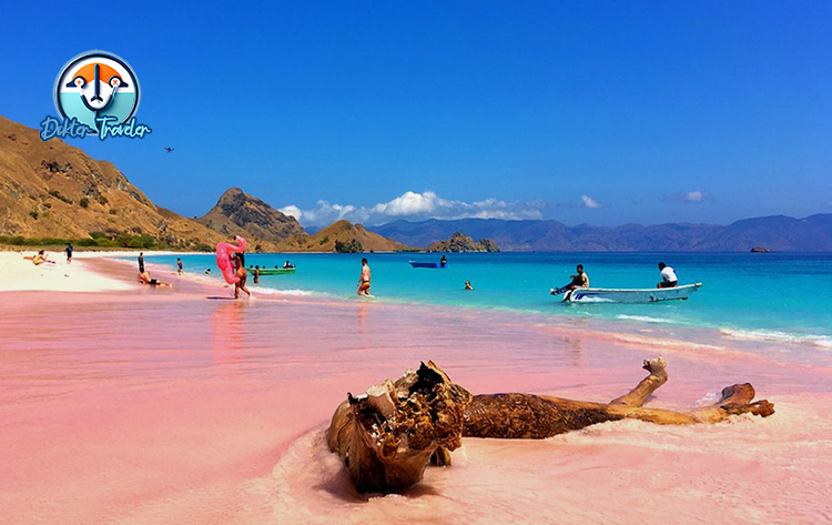 Pantai Merah Muda NTT: Keindahan Pink Beach di Pulau Komodo